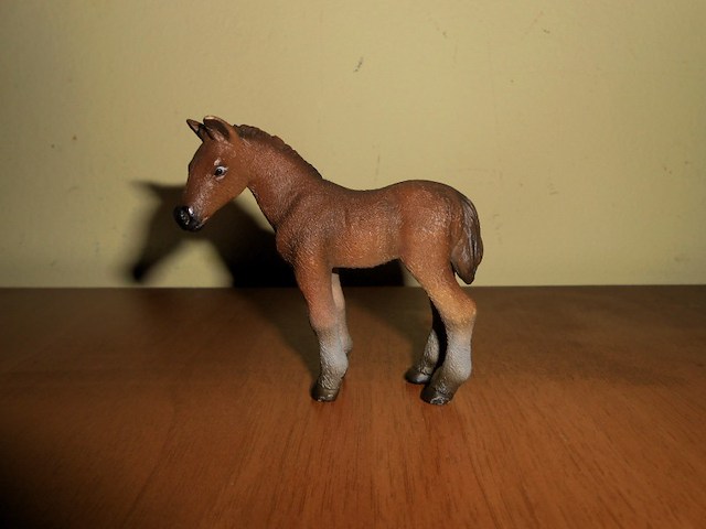 Collecta - Thoroughbred Foal
