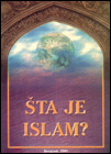 Šta je islam?