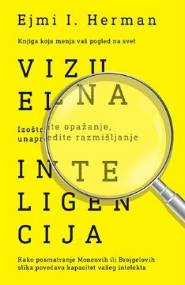 Vizuelna inteligencija