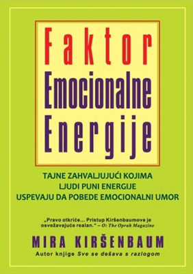 Faktor emocionalne energije