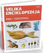 Velika enciklopedija - Ribe i vodozemci