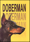 Doberman