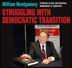 Struggling with Democratic Transition