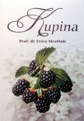 Kupina