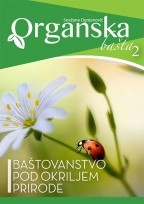 Organska bašta 2