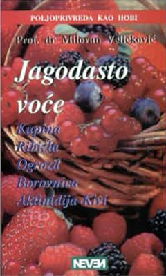 Jagodasto voće