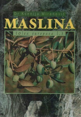 Maslina