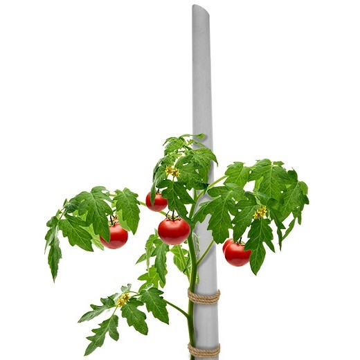 Kolčići - štapovi za paradajz 200cm - 10kom.