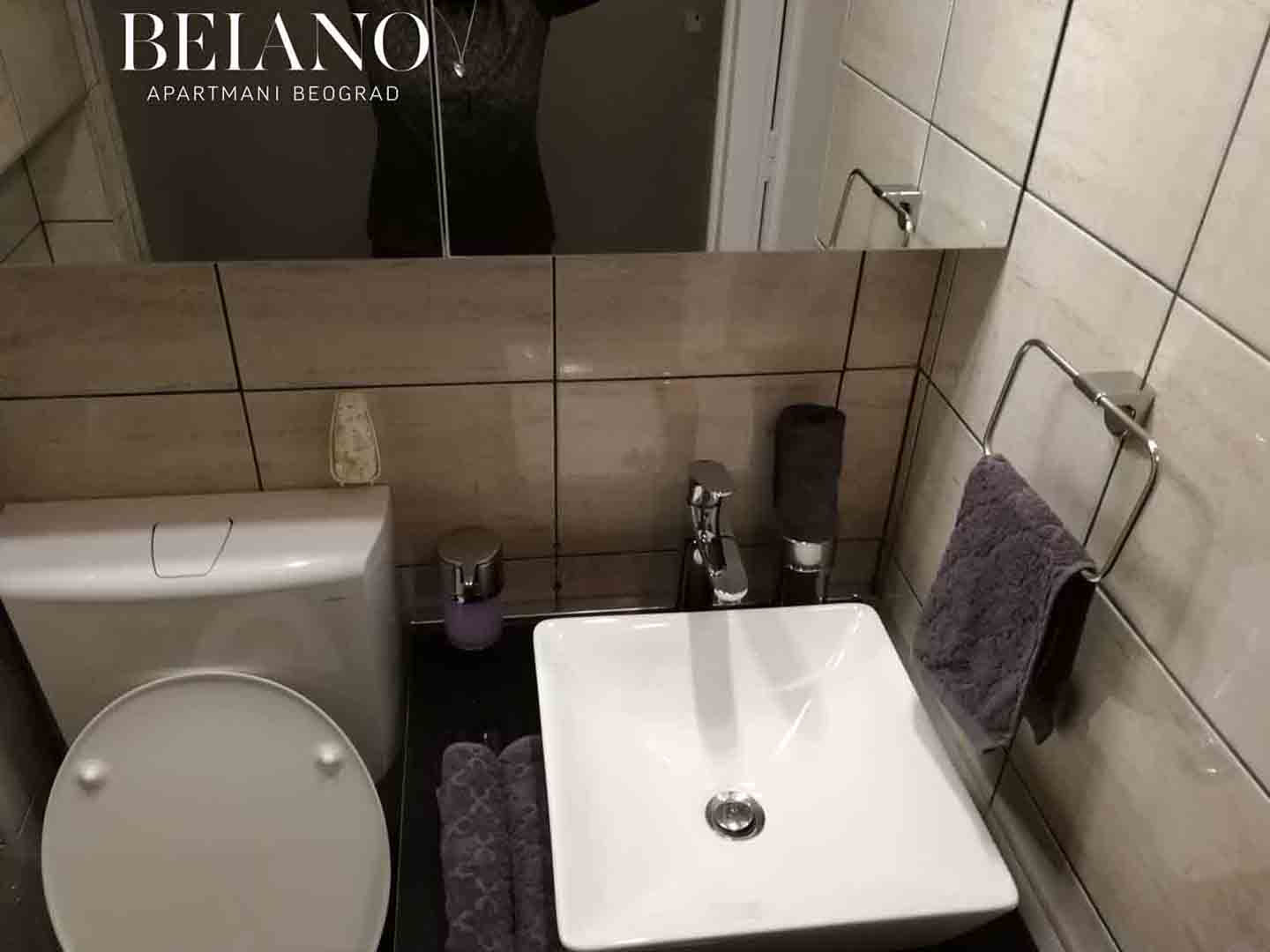 LOVAC, 1-SOBNI STAN BEOGRAD, 35M2