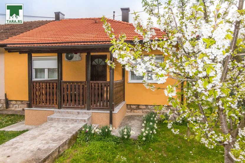 Apartman OLGA