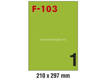 Etikete ILK 210x297mm pk100L Fornax F-100 zelene