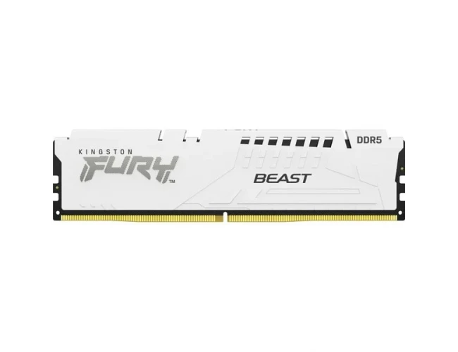 Kingston DDR5 16GB 5600MHz FURY Beast XMP (KF556C40BW-16) memorija za desktop