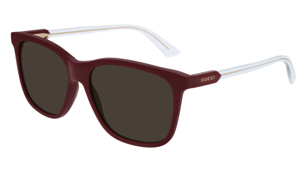 Gucci Sunglasses – GG0495S – 003