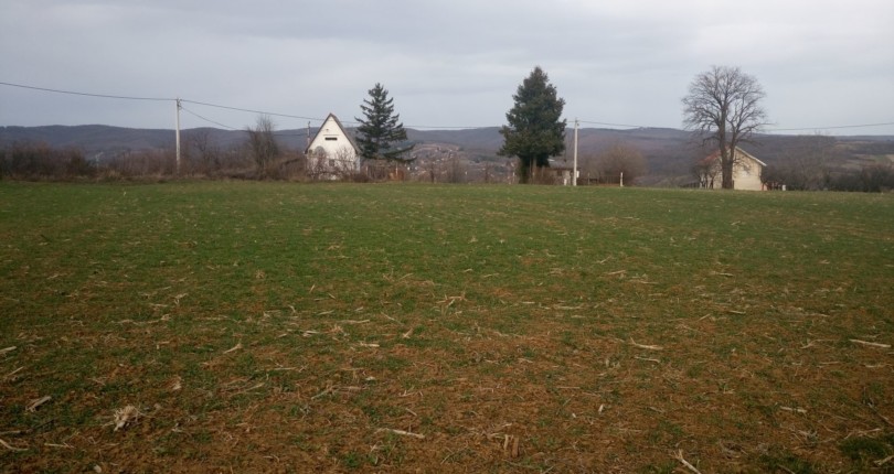 Vrdnik, Venje, plac 34 ara, 32.000