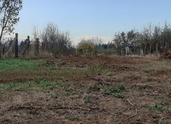 Plac na prodaju Bocke-Sremska Kamenica