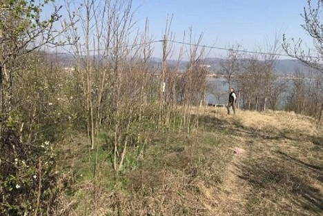 Plac na obali Dunava Vinci-Golubac 13ari 8000e