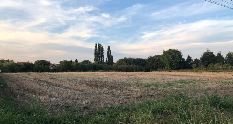 Izdajem plac na magistralnom putu Surcin-Jakovo