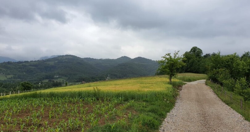 Prodajem kucu sa placem na Tari