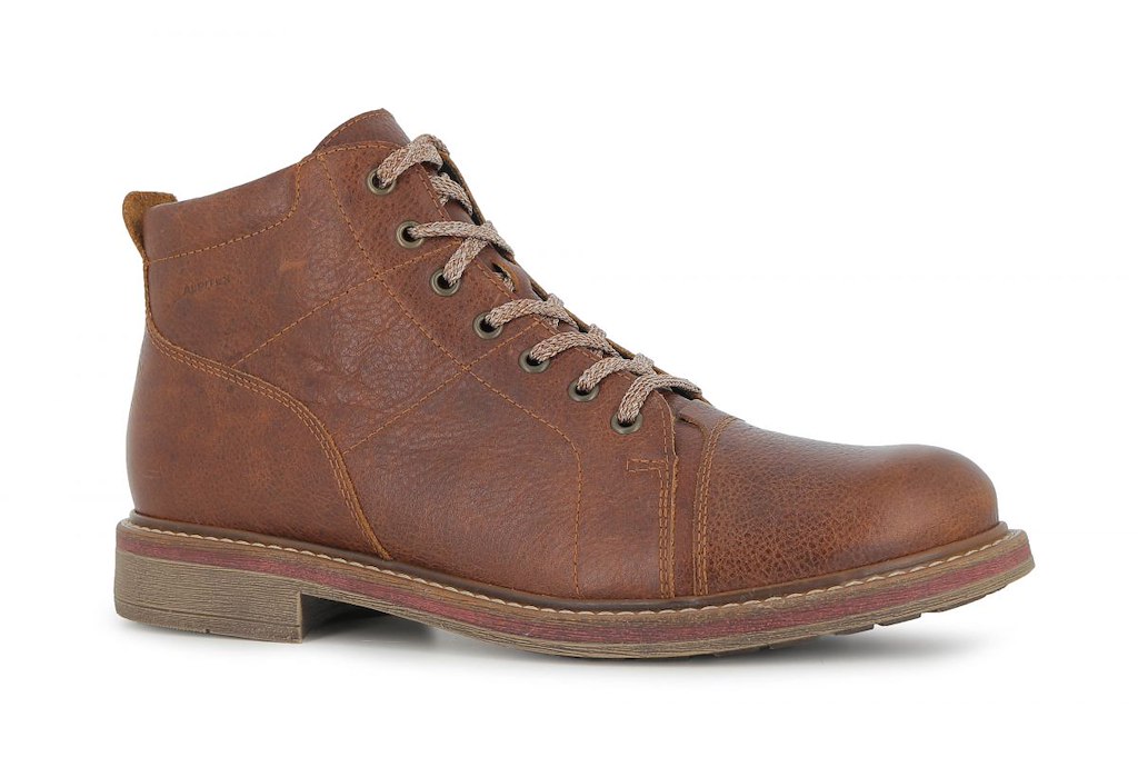 CLARK 61562