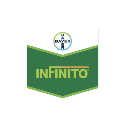 Infinito SC 1 l