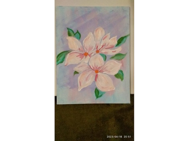 Slika `Bele magnolije`
