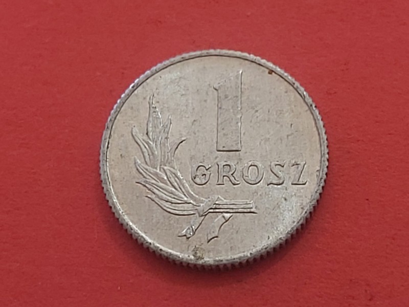 Poljska - 1 grosz 1949 god