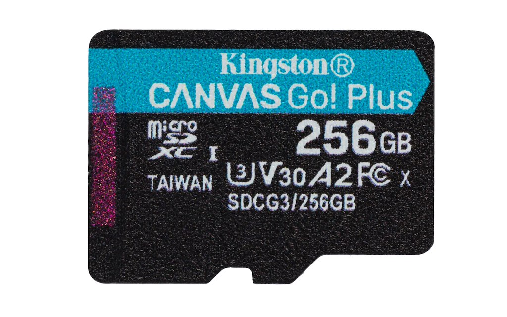 Kingston Canvas Go! Plus (SDCG3/256GBSP) memorijska kartica microSDXC 256GB class 10