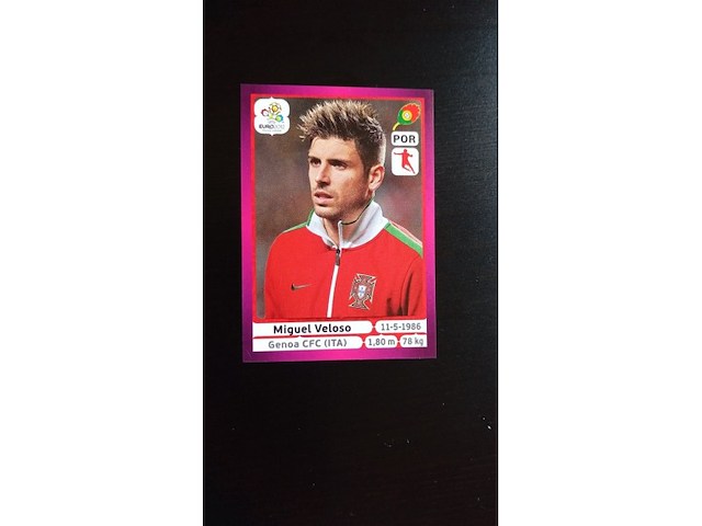 Euro 2012 Panini Nemačko izdanje broj 270