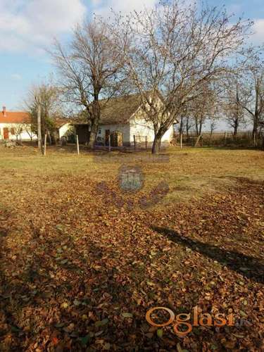 ČENEJ, prelep salaš sa velikim placem