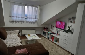 Agencija za nekretnine Maksimović prodaje dvosoban stan u Rasadniku