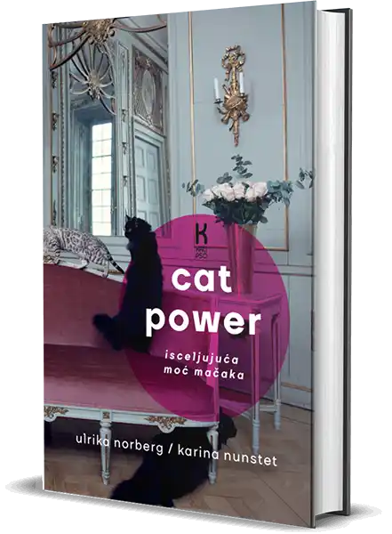 cat power – isceljujuća moć mačaka