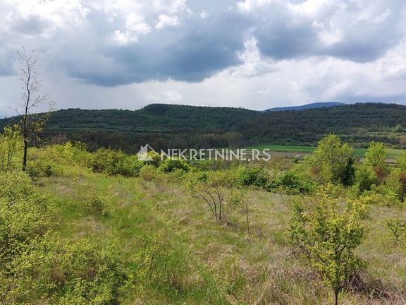 Zaječar – Gornja bela reka 31kvm-1ha 44a 11kvm ID#21435