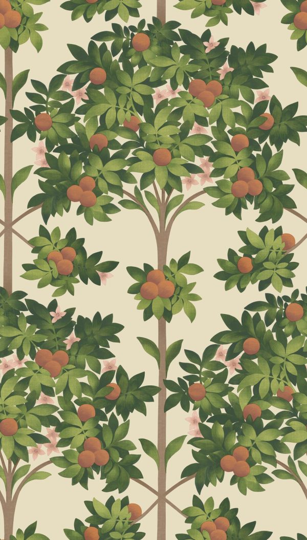 Orange Blossom Wallpaper 117/1001 by Cole & Son