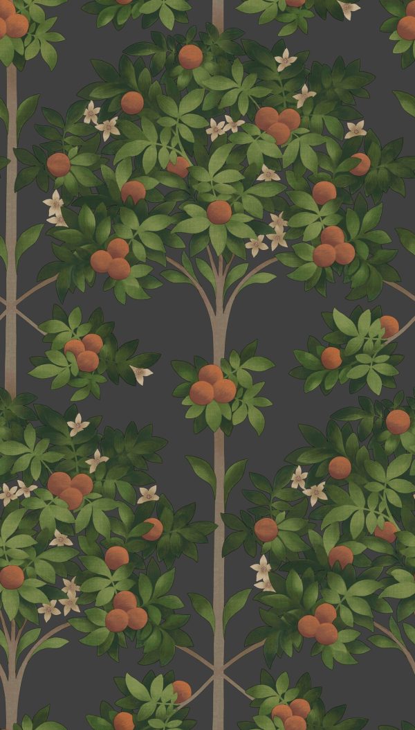 Orange Blossom Wallpaper 117/1003 by Cole & Son