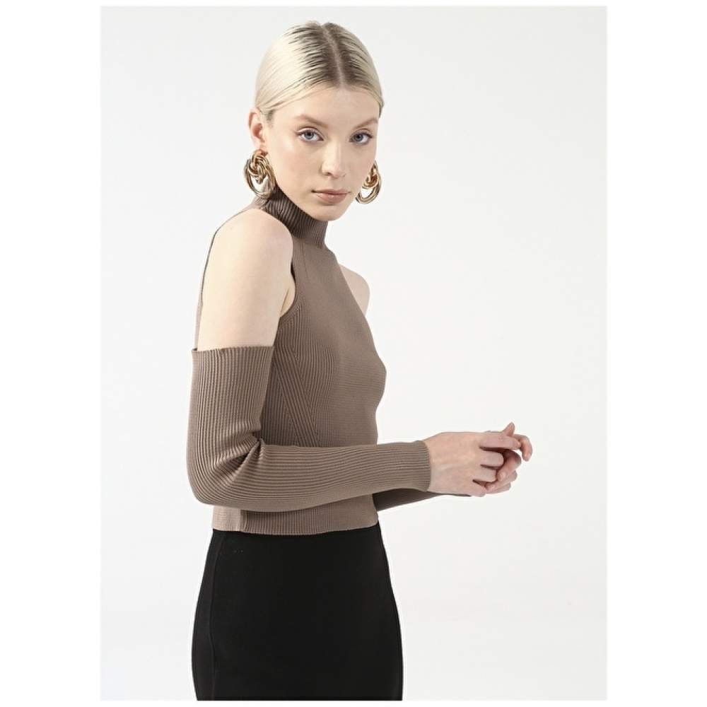 Factory Turtleneck Plain Brown Women's Sweater TEMOS