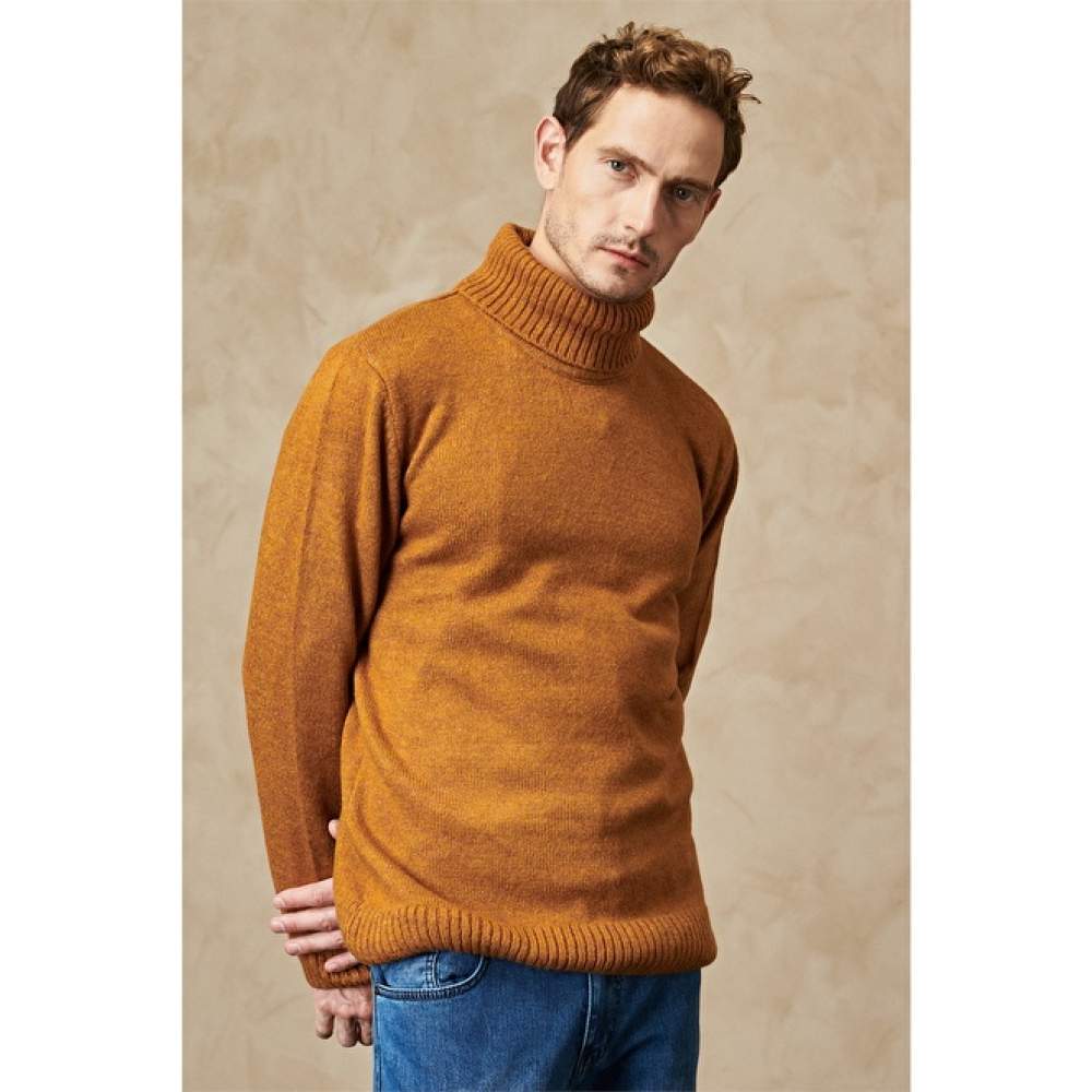 Standard Fit Normal Cut Full Turtleneck Knitwear