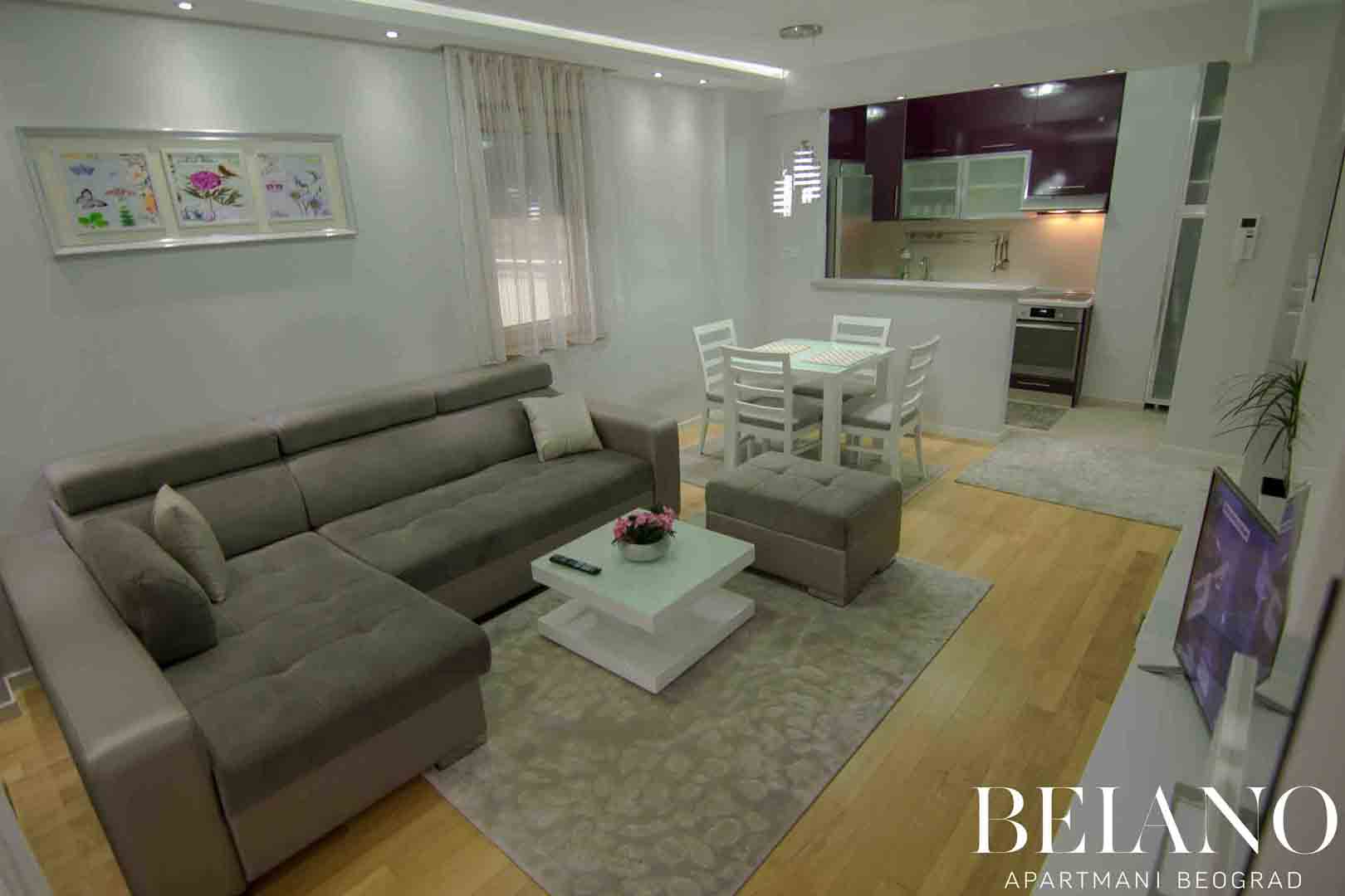 BLOK A, 1 -SOBAN, STAN BEOGRAD 60M2