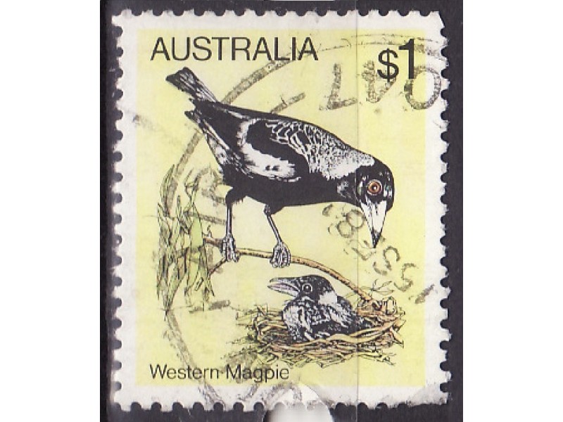 Australija - ptica