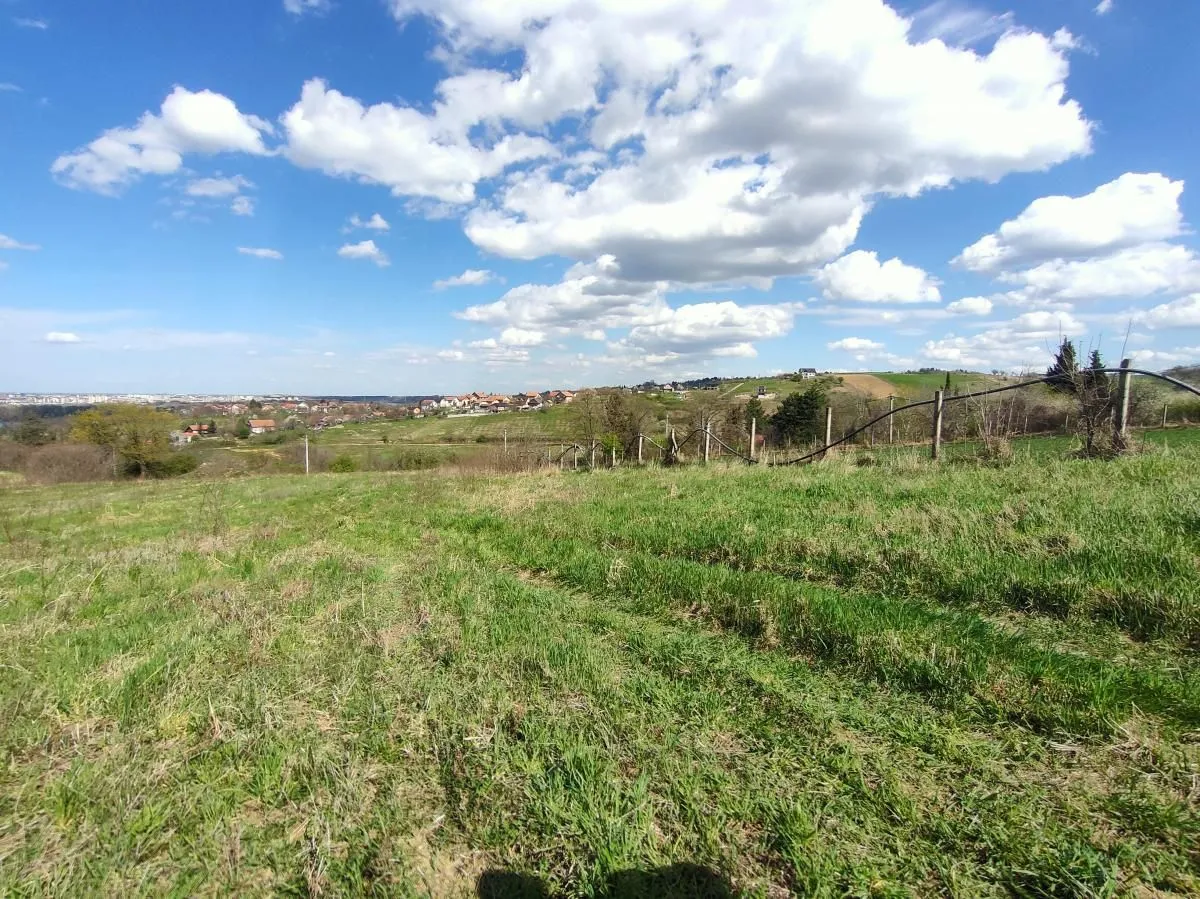 Prodaja, zemljište, 65m2, Ledinci, Petrovaradin, Novi Sad