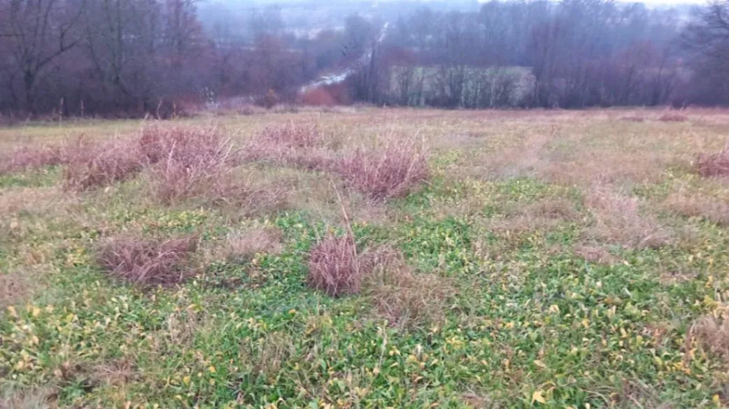 Prodaja, zemljište, 8000m2, Mladenovac, Beograd