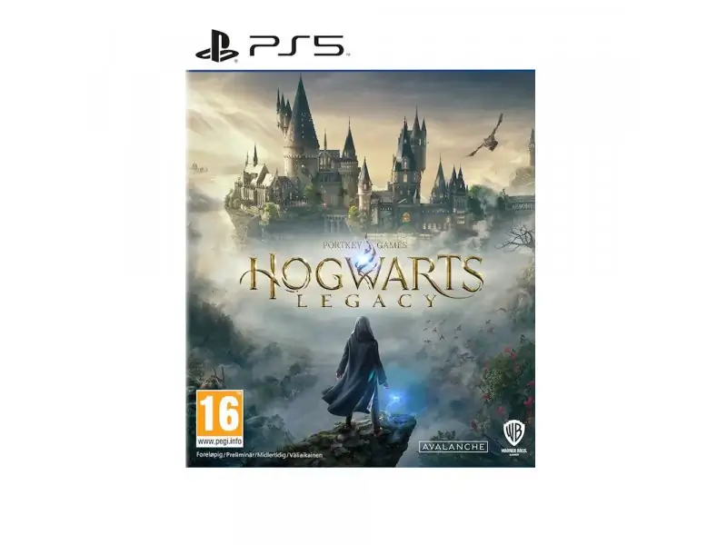 WARNER BROS PS5 HOGWARTS LEGACY