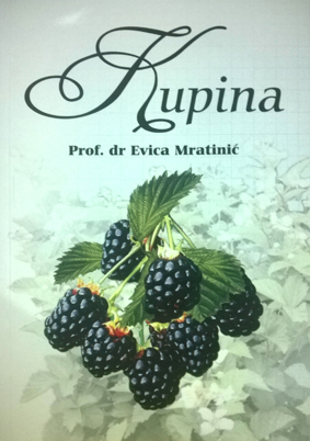 Kupina - dr Evica Mratinić