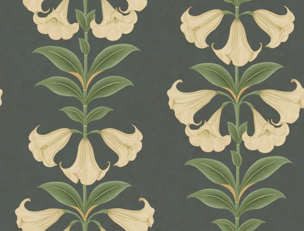 Angels Trumpet Wallpaper 117/3006 by Cole & Son