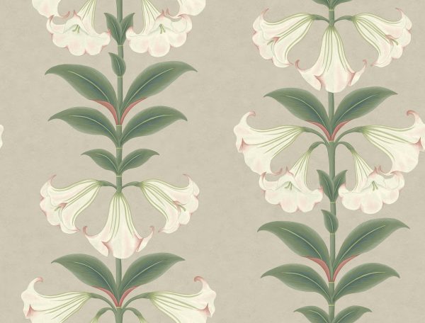 Angels Trumpet Wallpaper 117/3007 by Cole & Son