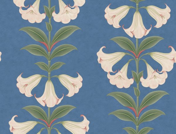 Angels Trumpet Wallpaper 117/3008 by Cole & Son