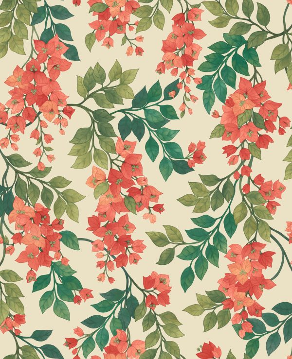 Bougainvillea Wallpaper 117/6016 by Cole & Son