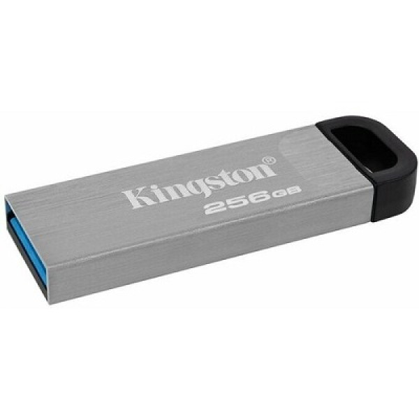 Kingston USB 256GB ( )