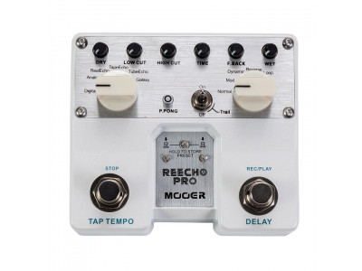 MOOER Reecho Pro