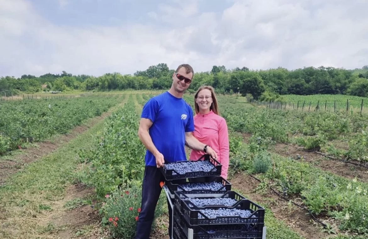 Dedovina – Blueberry Farm
