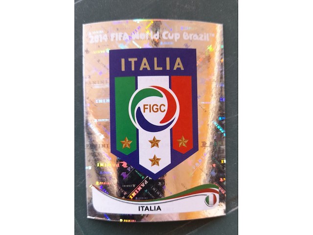 Fifa 2014, Brazil, Panini, Sličica #317